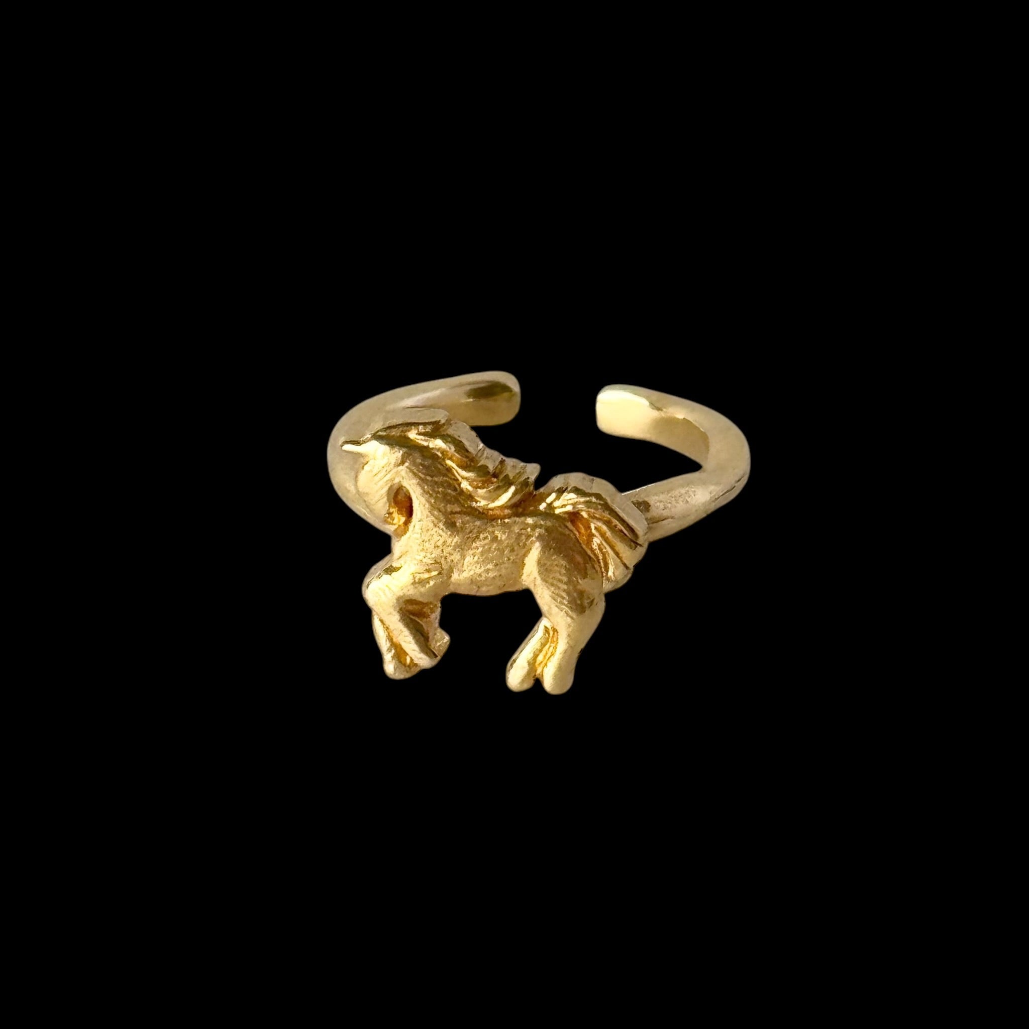 [ gold ] pony pinky [ free size ] – POMUM&ARTS